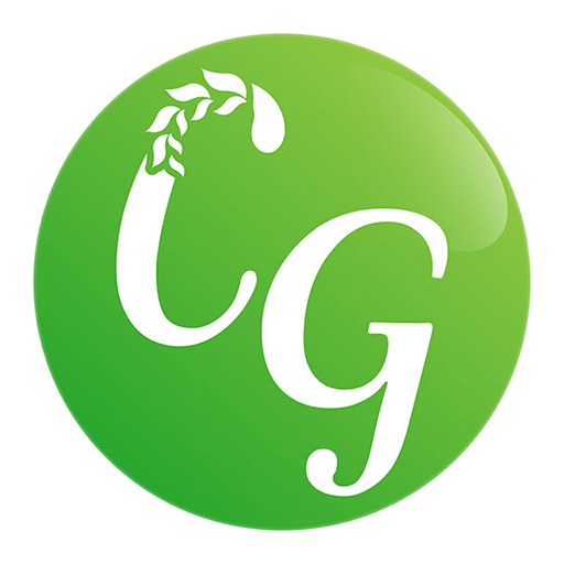 Dwarf Rajapuri Banana Tree in Your Garden