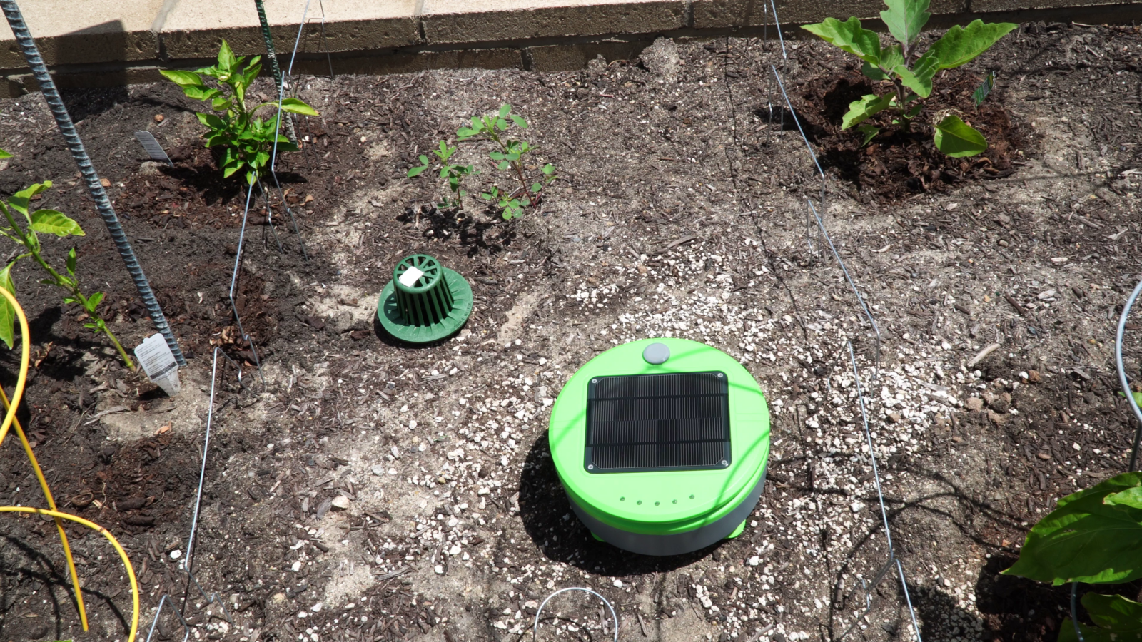 The use of Tertill Weeding Robot