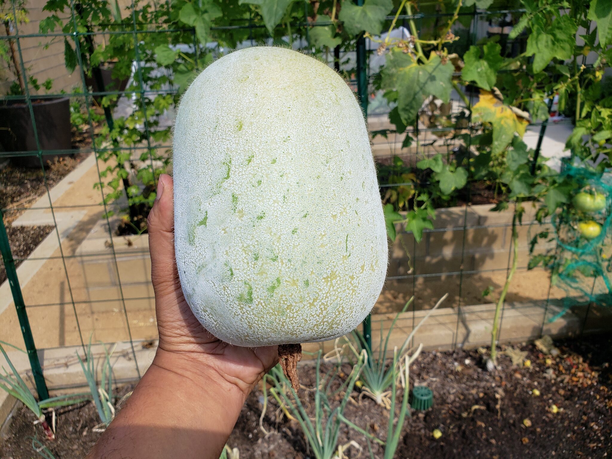 California Gardening October 2020 Full Tour