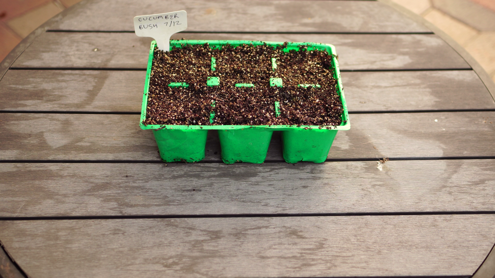 Seed Starting Master Class Episode