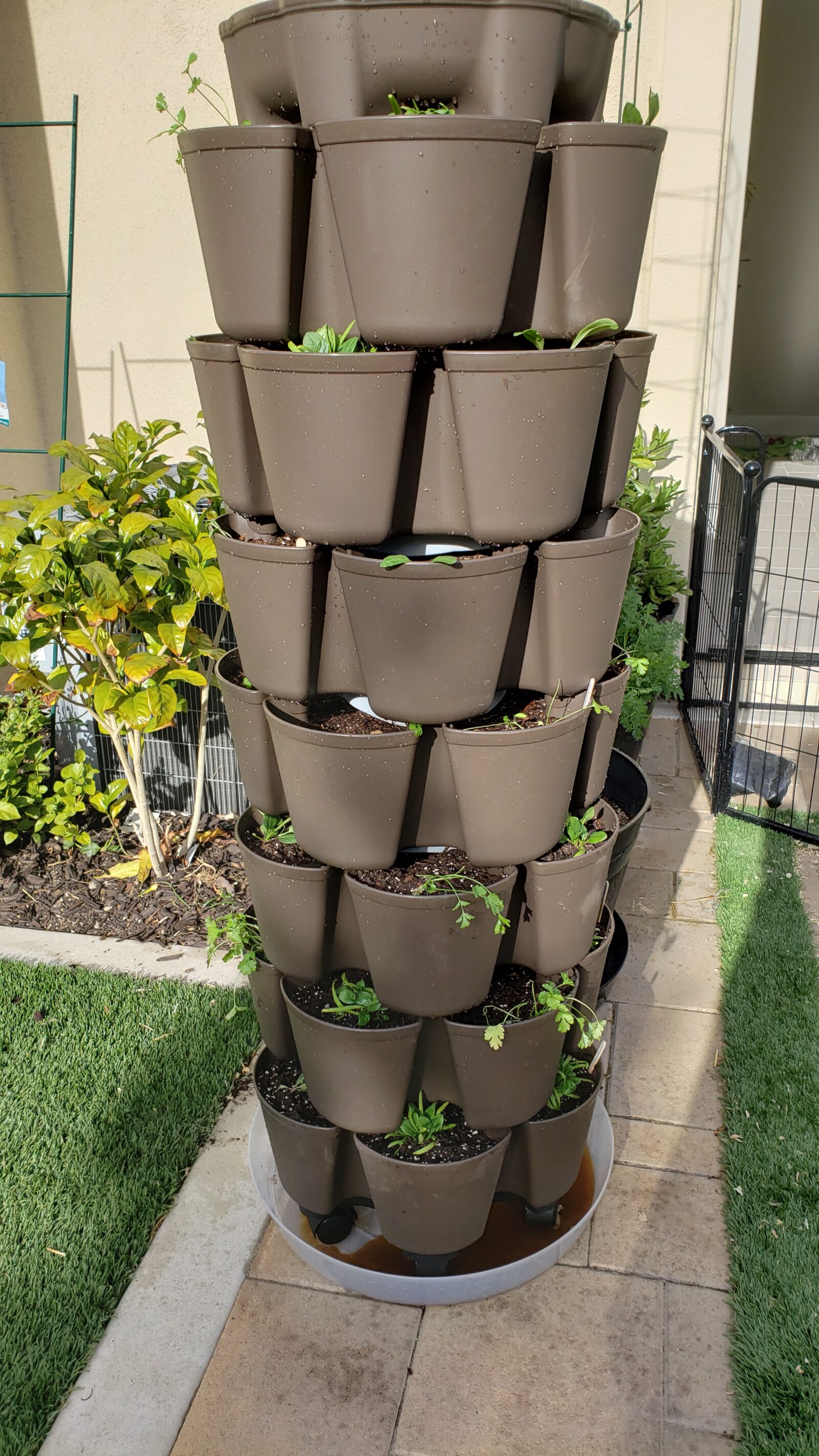 GreenStalk New Leaf Planter Unboxing And Review GreenStalk New Leaf Planter Unboxing And Review