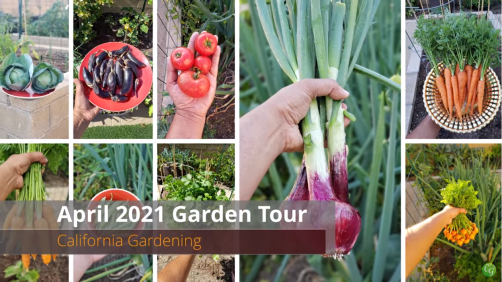 April Garden Tour | Gardening | California Gardening
