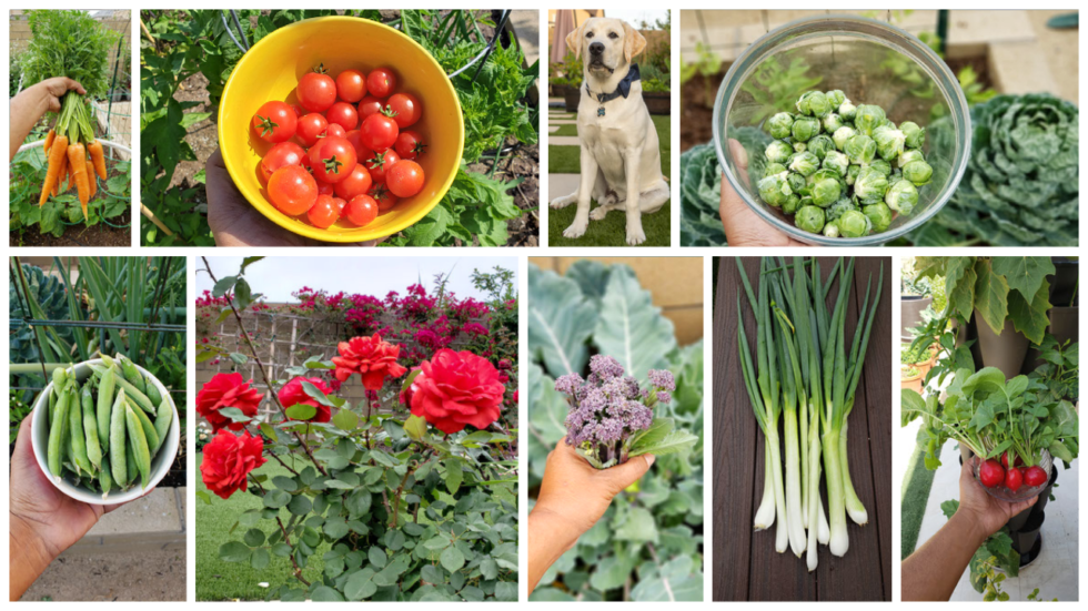 May Garden Tour | California Garden Tours | California Gardening