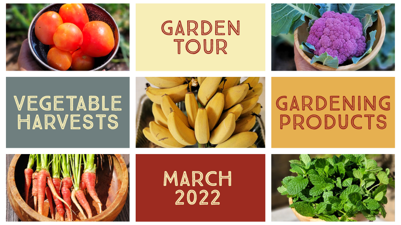 Vegetable & Fruit Harvests, Garden Tour, Vitality, Mars Hydro Giveaway ...