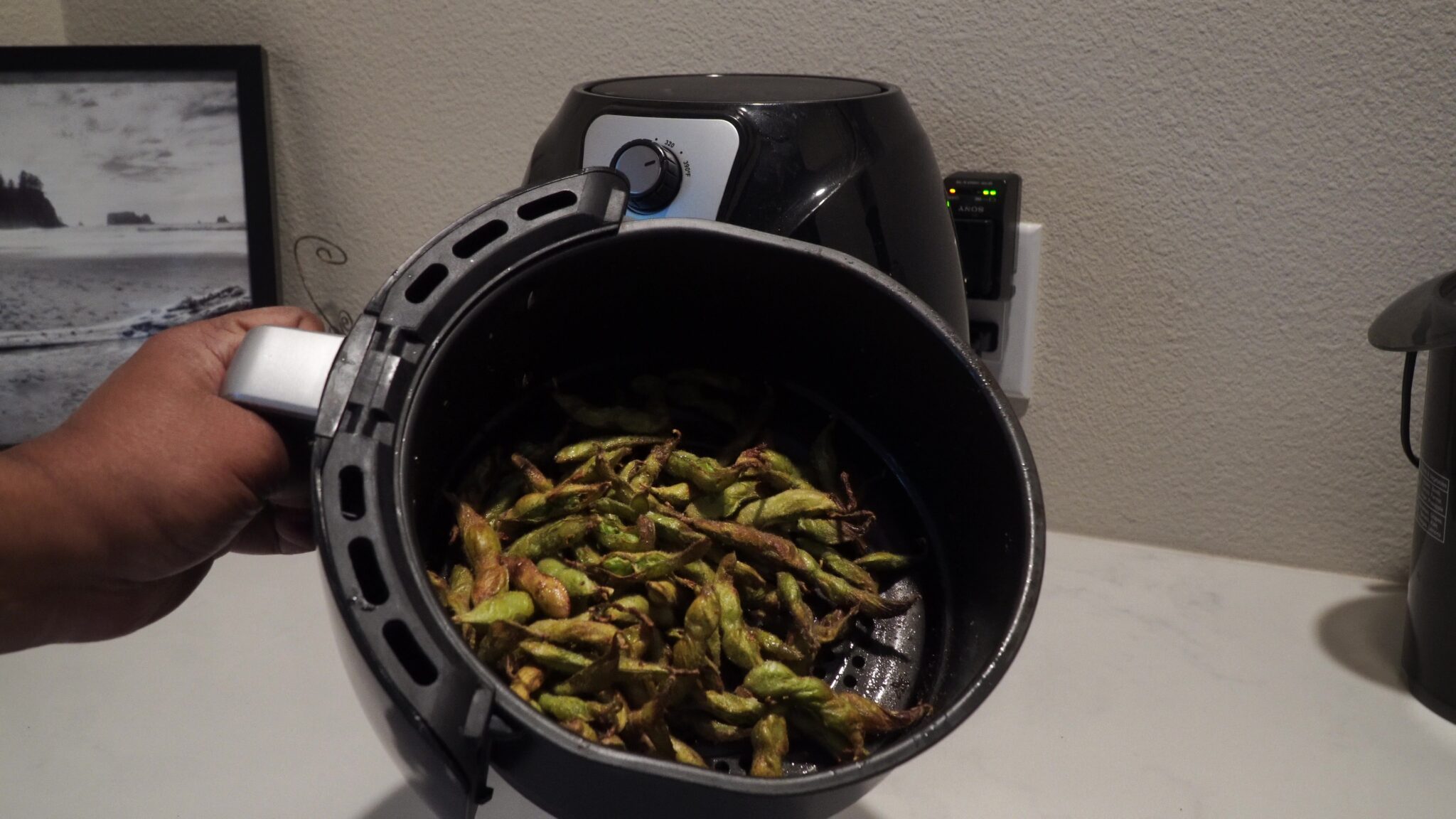 How To Grow Soybeans or Edamame - Soya Bean Farming, Growing Tips ...