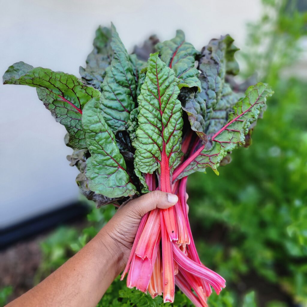 California Garden Becomes a Food Jungle! Vegetable Garden Tour ...